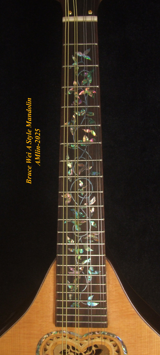 Bruce Wei Indian Rosewood A Style Mandolin, Abalone Inlay AMlin-2025