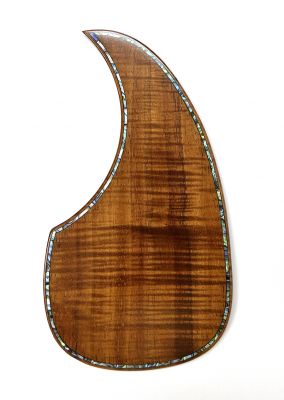 GUITAR - bruceweimusicalinstruments.com