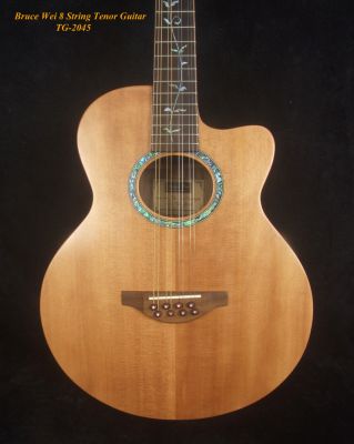 GUITAR - bruceweimusicalinstruments.com